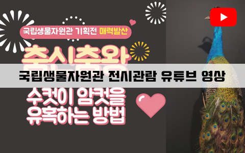 %ec%a0%9c%ec%9d%b4%ec%a7%80%eb%b9%84%ed%8d%bc%eb%b8%94%eb%a6%ad-%ec%9c ...